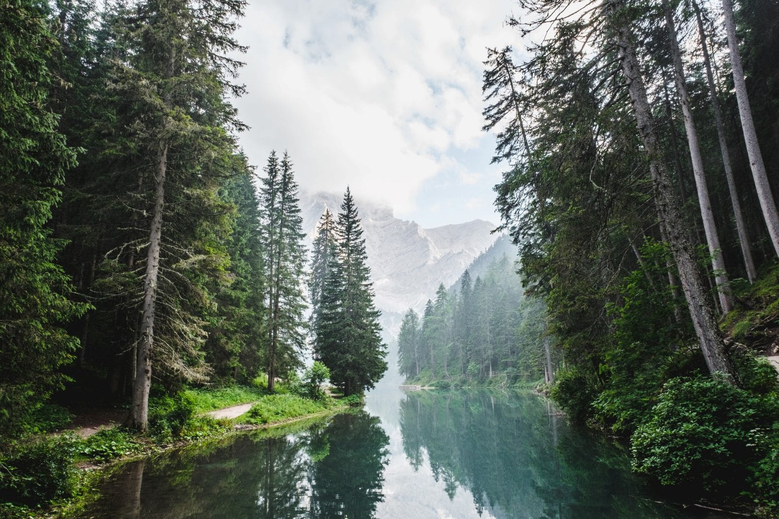 Evergreen blog content: what it is, why you need it and how to create ...